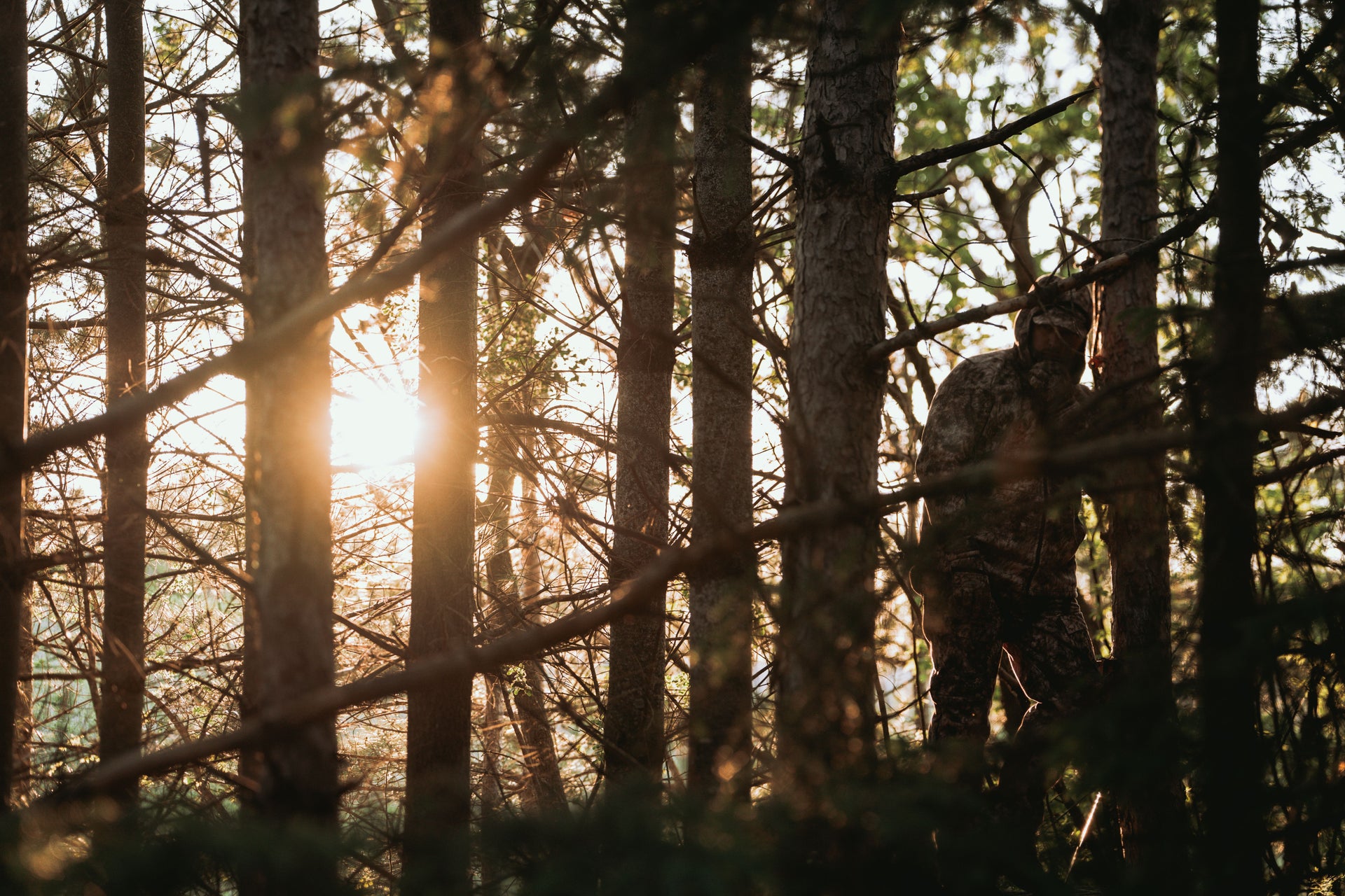 ASIO Camo Systems | RAPTOR & RAPX for Treestand & Ground Hunters – ASIO ...